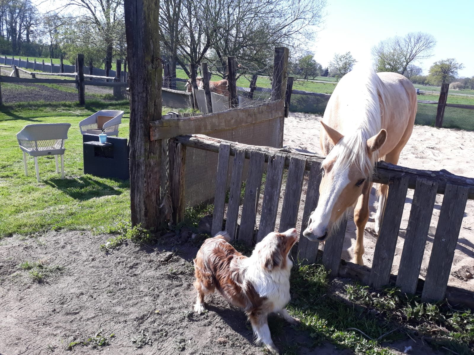 Impressionen – Gabi Meyer