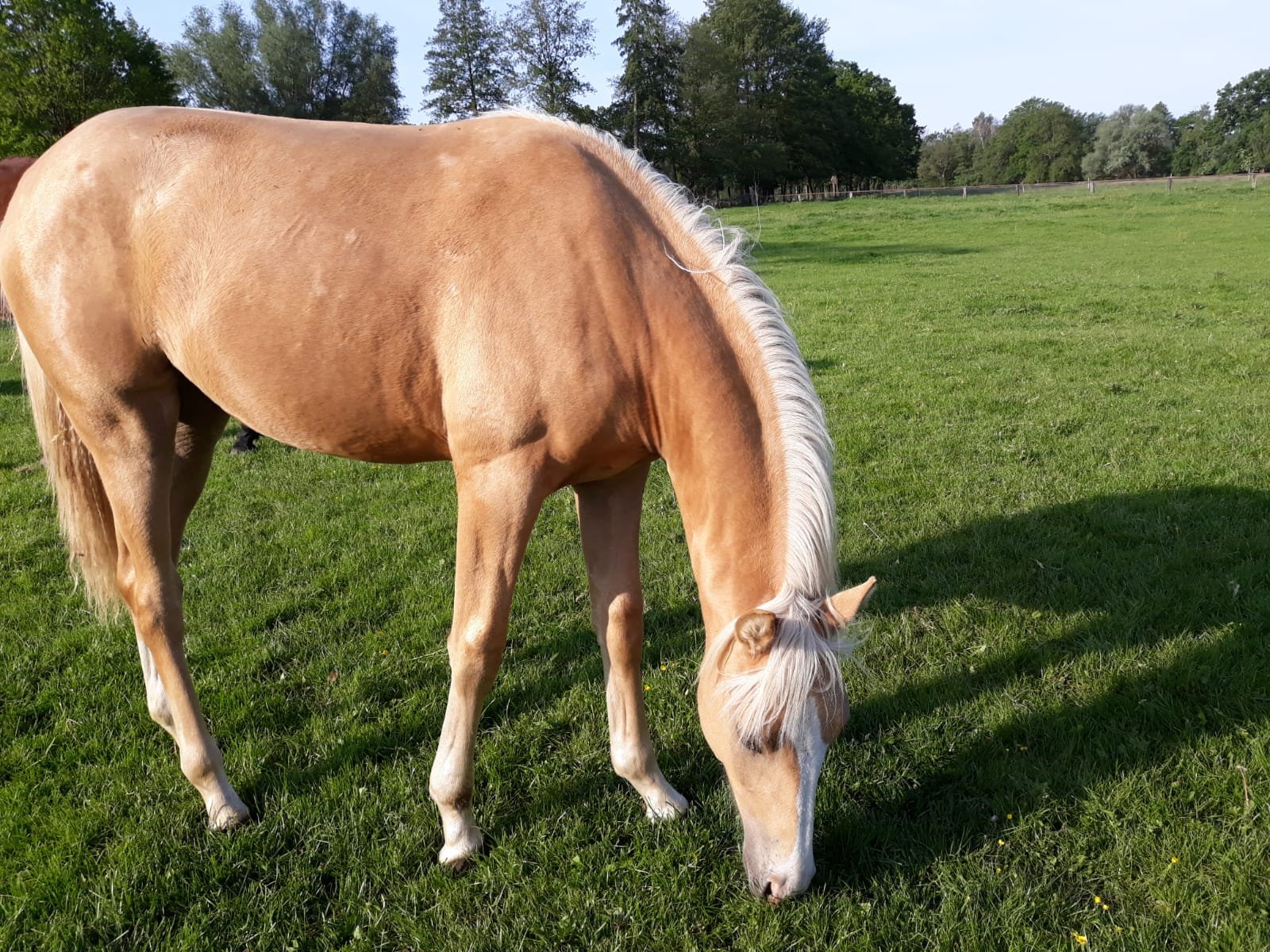 Impressionen – Gabi Meyer