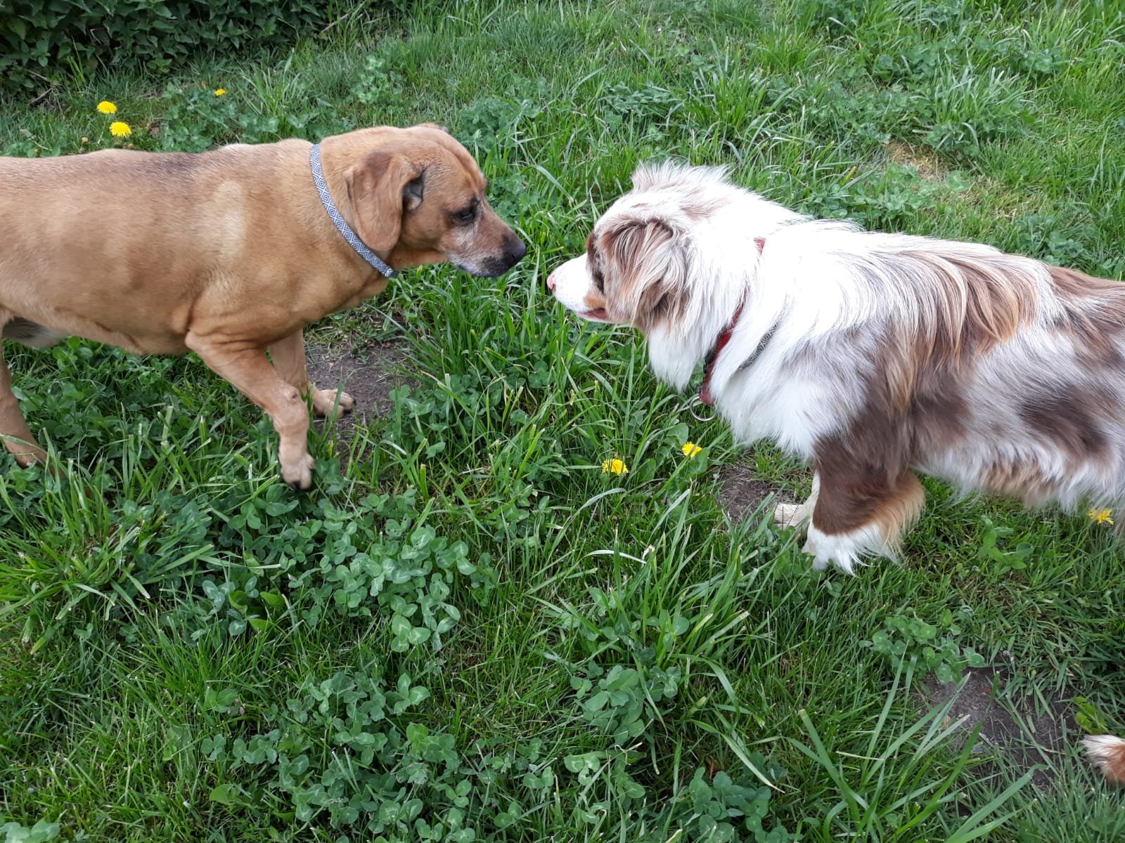 Impressionen – Gabi Meyer