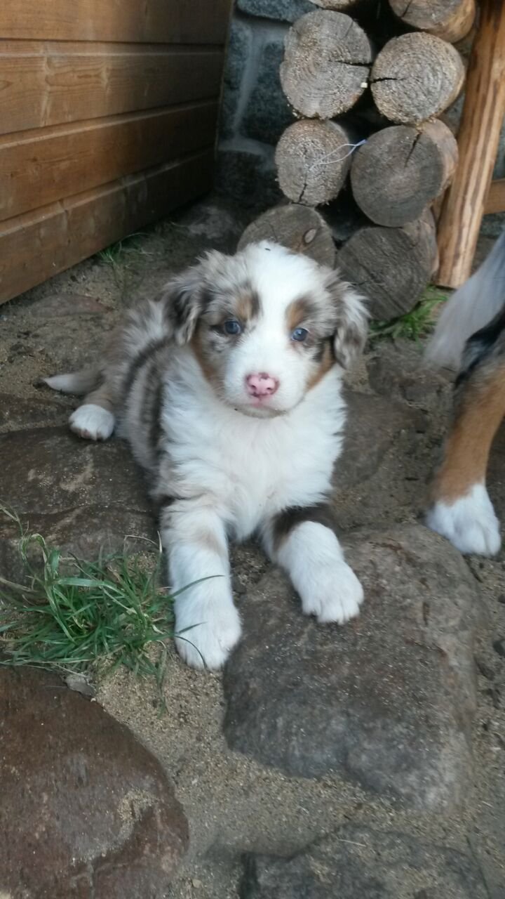 Impressionen – Gabi Meyer