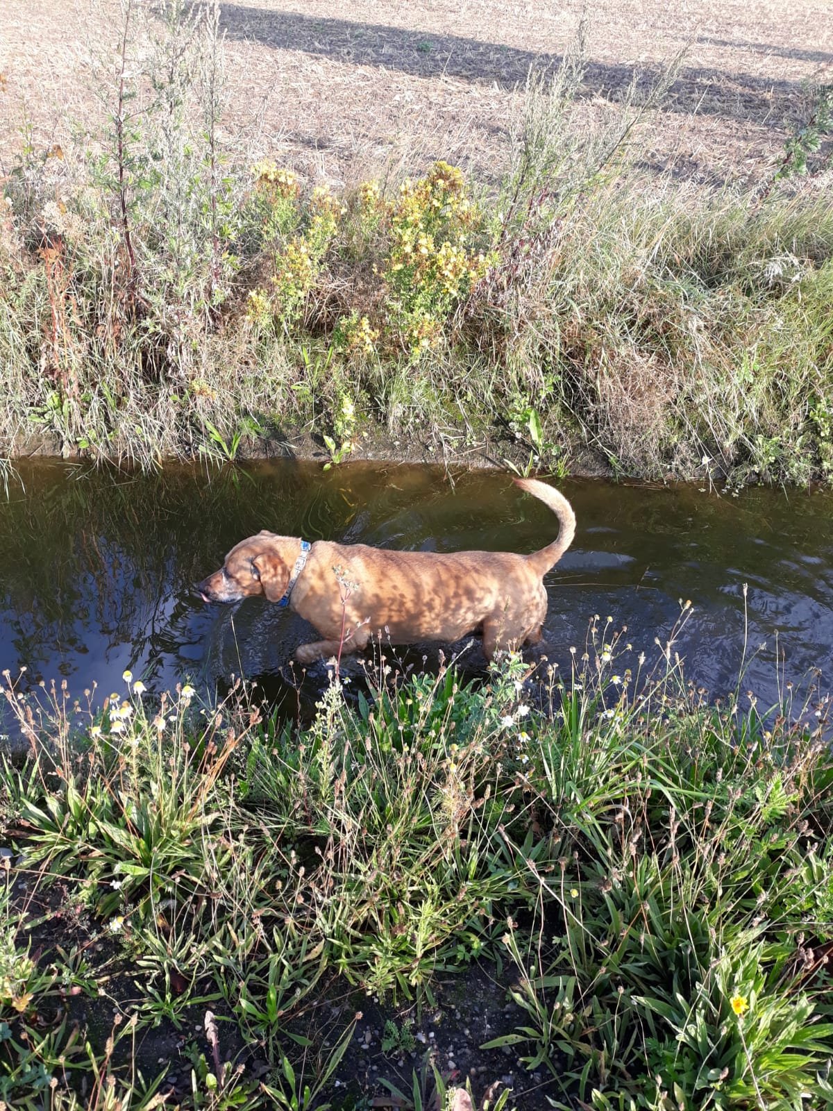 Impressionen – Gabi Meyer